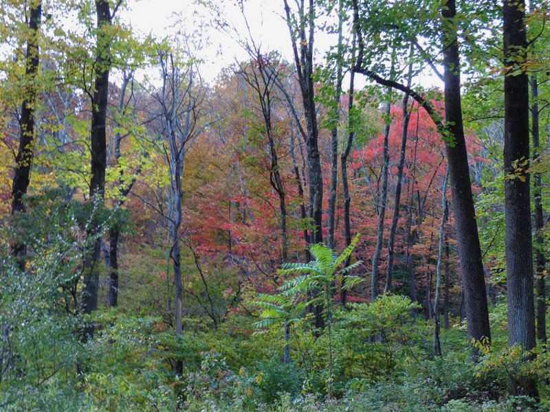 Mansfield Township NJ - NJTGO.com